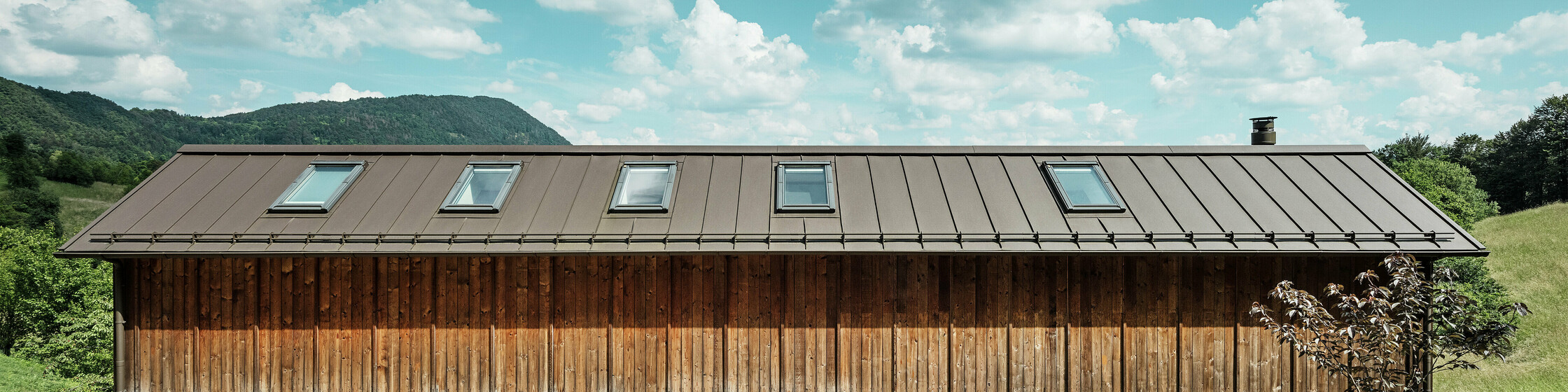 Minimalizem z dodano vrednostjo: aluminijasta streha in lesena fasada ...